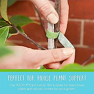 VELCRO Brand 90648 ONE-WRAP Garden Ties | Plant Supports for Effective Growing | Strong Grips are Reusable and Adjustable | Cut-to-Length, 75 ft x 1/2 in, Green-Recycled Plastic