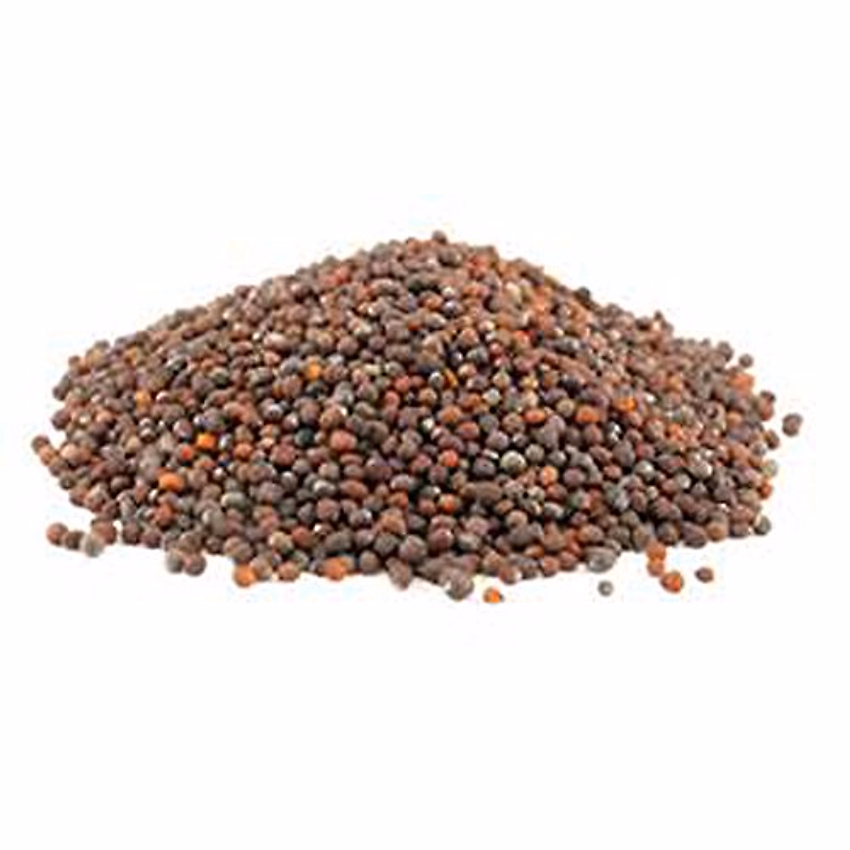Non-GMO Broccoli Seeds for Sprouting Sprouts Microgreens (2 Ounces of Pure Seed). Country Creek LLC. Brand.