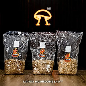 MushroomSupplies.com Sterilized Grain Bag for Mushroom Growing | Millet Substrate | 0.2 Micron Filter Mycobag Grow Kit | Mycology Cultivation Supplies (3LB)