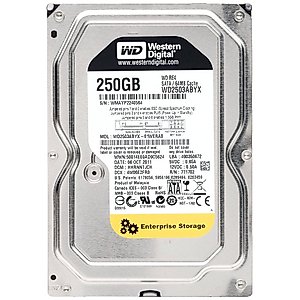 250GB 7200RPM 64MB Cache SATA 3Gb/s- RE4 - WD2503ABYX