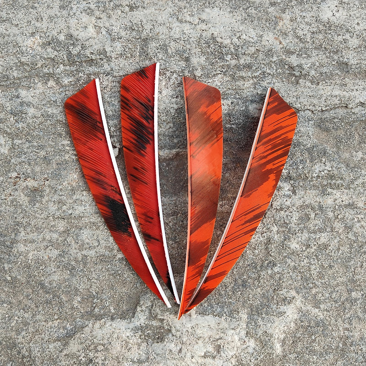 HANDBAIGE 36pcs 4-Inch Shield Cut Natural Feathers Arrow Real Fletchings Archery Right Wing Vanes Arrow Turkey Fletches for Hunting and Shooting (Orange)