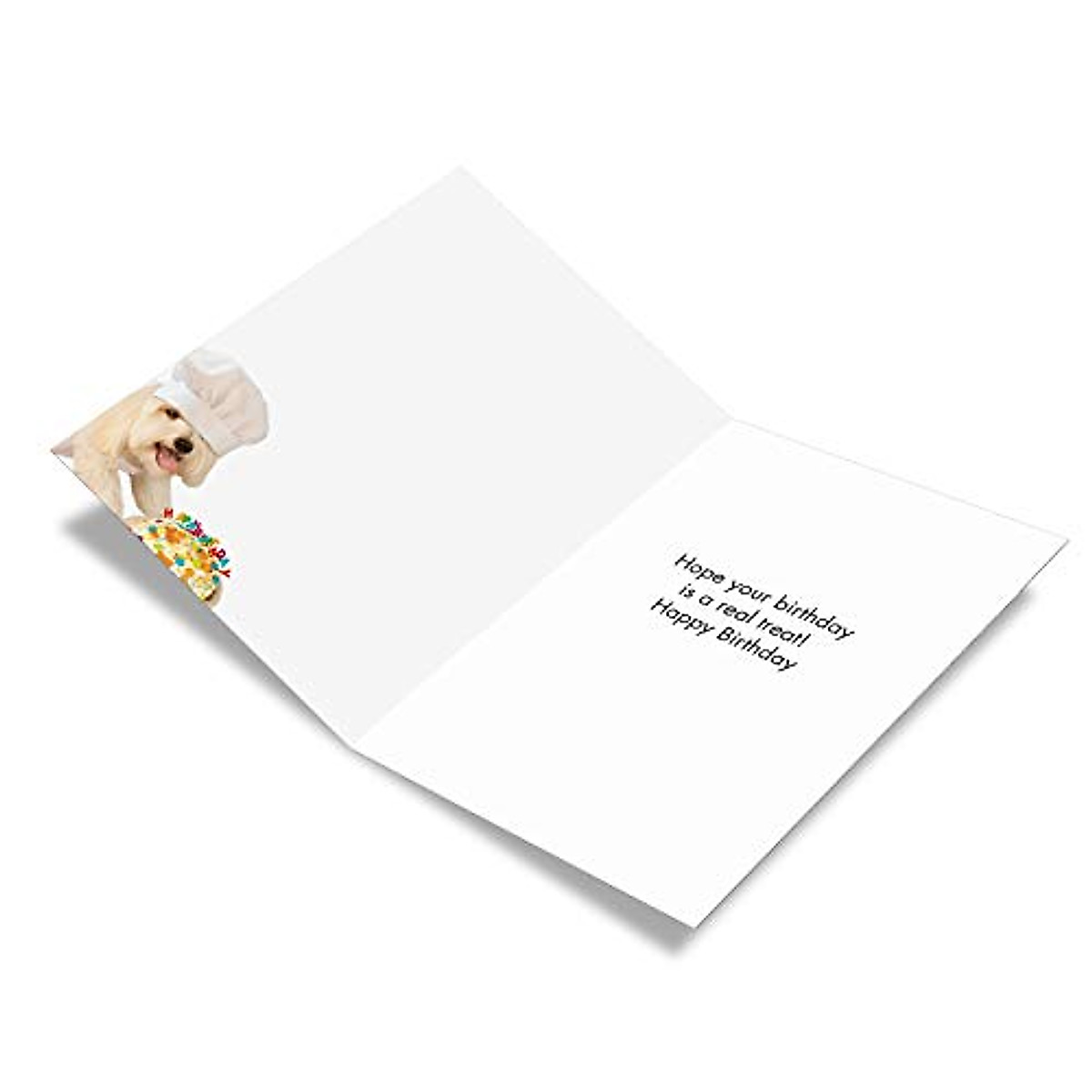 NobleWorks - 1 Cute Birthday Card with Envelope - Funny Wild Animals and Pets, Birthday Greeting - Dog Chef C3200BDG