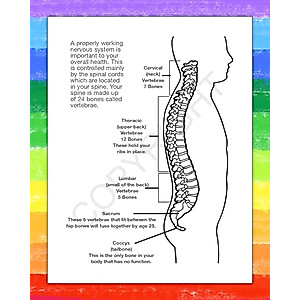 ZoCo - A Visit to The Chiropractor's Office - Educational Coloring Books (50 Bulk Pack, Without Crayons) - Chiropractor Supplies - Activities for Kids
