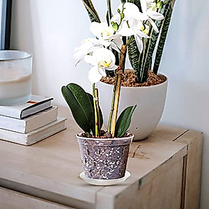 Yardwe 1set Bonsai Patio Ventilate for Plastic Cactus Starting Floral Rounded Saucer Drainage Flowerpot Bucket Trays Saucers, with Bar Pot, Starter Flowerpots Seedling X. Indoor