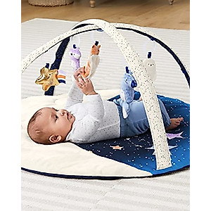 Skip Hop Baby Play Gym, Celestial Dreams, Grey