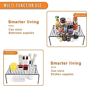 Large (16.1 x 10.2 Inch) Cabinet Storage Shelf Rack, Kitchen Shelves，Kitchen Counter and Cabinet Shelf, Storage Rack Organizer for Kitchen, Fridge, Cabinet, Bathroom Cupboard (Black, 6)