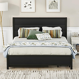 Lifeand Queen Size Storage Platform Bed with Twin Size Trundle and 2 Drawers, Black