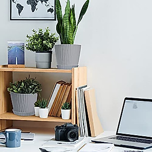 Whonline Plastic Flower Pots, 6 Pack, 7 Inch Gray Pots for Planting with Drainage Holes and Saucers, Decorative Flower Pots for Indoor Plants Outdoor Clearance