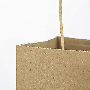Oikss 100 Pack 8x4.75x10 inch Medium Plain Natural Paper Bags with Handles Bulk, Kraft Bags for Birthday Party Favors Grocery Retail Shopping Business Goody Craft Gift Bags Sacks (Brown 100 PCS Count)