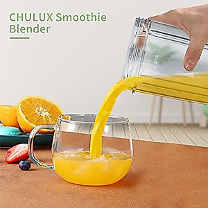 CHULUX 1000W Personal Bullet Blender for Shakes and Smoothies,Nutritional Blender for Kitchen with Blending and Grinding Blades,Tritan 32+15 oz Travel Bottles for Fruits,Vegetables,Coffee Beans