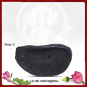 Vedic Vaani Lord Rishikesh Rajanikant Chandrama Netra Shaligram Shila for Peace and Prosperity (Pack of 4)