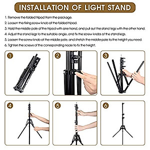 13 inch Ring Light with Floor Tripod and Desk Stand(Ringlight Kit Totally 74" Tall), LED Circle Light with Phone Holder, for Photo Selfie, Video Recording, Zoom Meeting