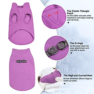 BEAUTYZOO Dog Fleece Vest Sweater Winter Jacket for Small and Medium Dogs with D-Ring Leash Cold Weather Coat Hoodie for XS S M Dogs Boy or Girls