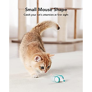 Petlibro Interactive Cat Toys for Indoor Cats, Automatic Cat Toy with LED Lights, Cat Mouse Toys, Smart Sensing Cat Toys, Moving Cat Toy, Smart Electric Cat Toy, USB Rechargeable, Auto On/Off
