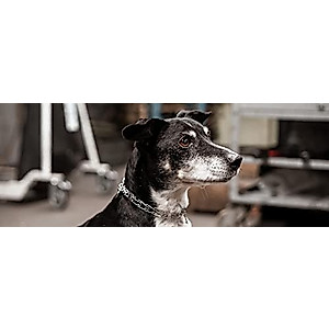 Herm Sprenger Stainless Steel Prong Dog Training Collar Ultra-Plus Pet Pinch Collar No-Pull Collar for Dogs Anti Pull Training Collar Made in Germany 3.2mm x 23in Medium