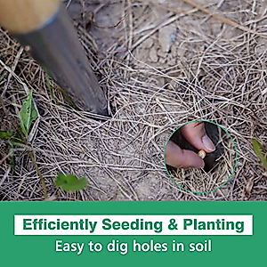 Berry&Bird Hand Dibber, Stainless Steel Sow Dibbler with Wood Handle, Garden Hole Punch Dibbler Tool for Planting Seeds & Bulbs, Hand Held Bulb Planter for Planting Flowers Tulips, Daffodils, Dahlias