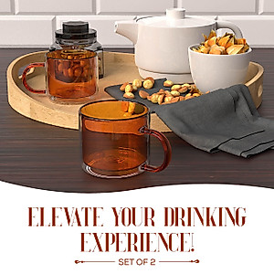 elle decor Double Wall Coffee Mug | Set of 2 | 10-Ounce | Cute Coffee, Tea, and Milk Glass Mugs with Handle | Insulated Tea Cup | Gift Set for Valentines Day, Birthday, & Holidays (Amber)