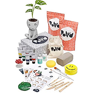 Pott'd™ Home Air-Dry Clay Pottery Kit for Beginners, Pottery Kit for Adults. Kit Includes: Air-Dry Clay for Adults, Tools, Paints, Brushes, Sealant, How-to-Guide, Gift - Regular Paints