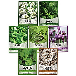 15 Herb Seeds For Planting Varieties Heirloom Non-GMO 5200+ Seeds Indoors, Hydroponics, Outdoors - Basil, Catnip, Chive, Cilantro, Oregano, Parsley, Peppermint, Rosemary and More By Gardeners Basics