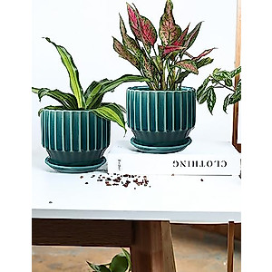 AISBUGUR Plant Pots 6 inch Ceramic Pots for Indoor Plants Set of 2 Flower Pots Unique Crackle Glaze Design Plant Pots with Drainage Hole and Saucer Come with Drainage Nets (Aqua Green)