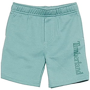 Timberland baby boys 2 Pieces Tee Shorts Set, Deep Black, 12M US