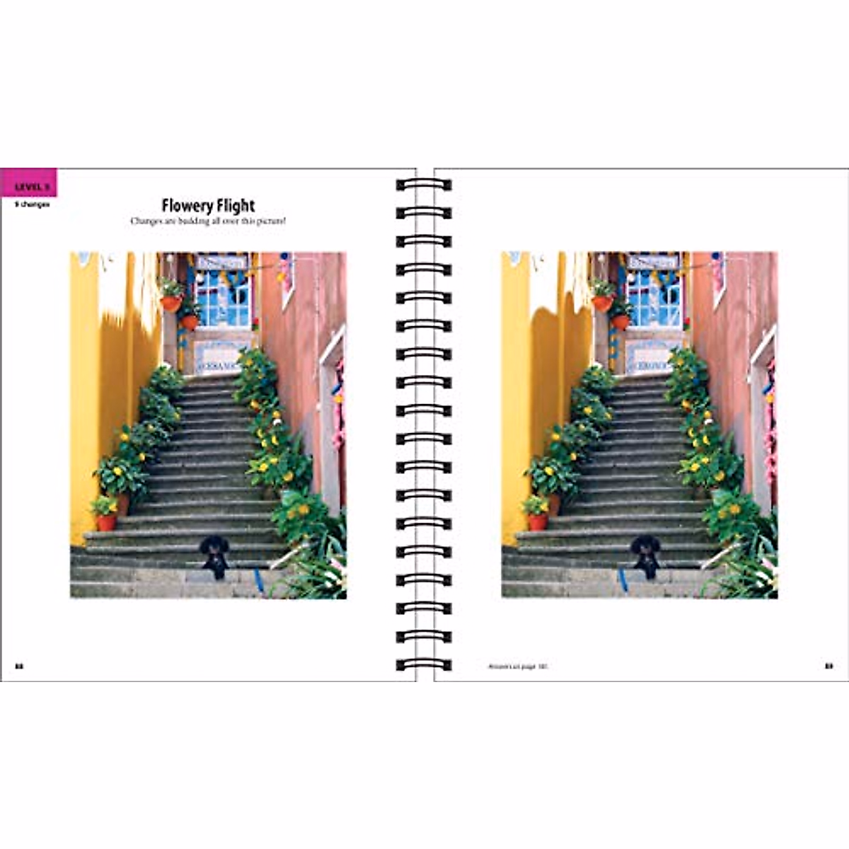 Brain Games - Picture Puzzles: Goes to the Dogs