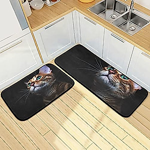Bengal Cat Kitchen Rugs and Mat 2 Pieces Set Cushioned Anti Fatigue Kitchen Mat Non Slip Doormat Runner Carpet Washable Farmhouse Decor for Home Kitchen Hallway Bedroom
