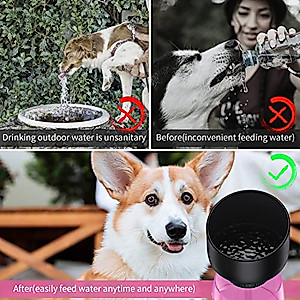Portable Dog Water Bottle Foldable Pet Water Bottle for Dog with Water Stop Valve Puppy Travel Walking Hiking Water Bottle Leak Proof Pet Water Dispenser Lightweight & Convenient for Outdoor-Pink 18Oz