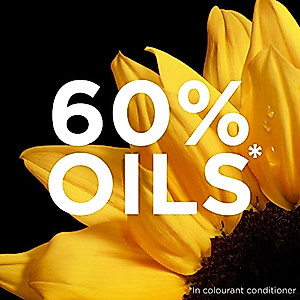 Garnier Olia Rose Violet Permanent Hair Dye, No Ammonia for A Pleasant Scent, Up To 100% Grey Hair Coverage, Maximum Colour Performance, 60% Oils - 4.26 Rose Violet