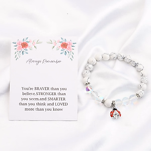 BNQL Ladybug Bracelets Gifts for Women Girls Ladybug Charm Bracelet Ladybug Jewelry Inspiration Ladybug Gifts Ladybug Lover Gifts (ladybug bracelet)