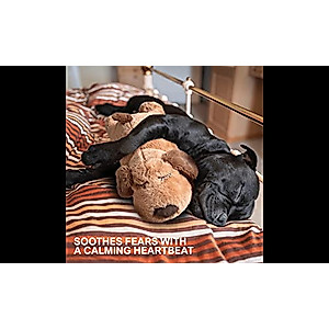 Pro Pet Works Puppy Heartbeat Toy-Calming Plush Stuffed Animal Dog Toy with Heartbeat for Relief of Separation Anxiety-Calming Behavioral Sleeping Aid Crate Training-Cuddle Pup