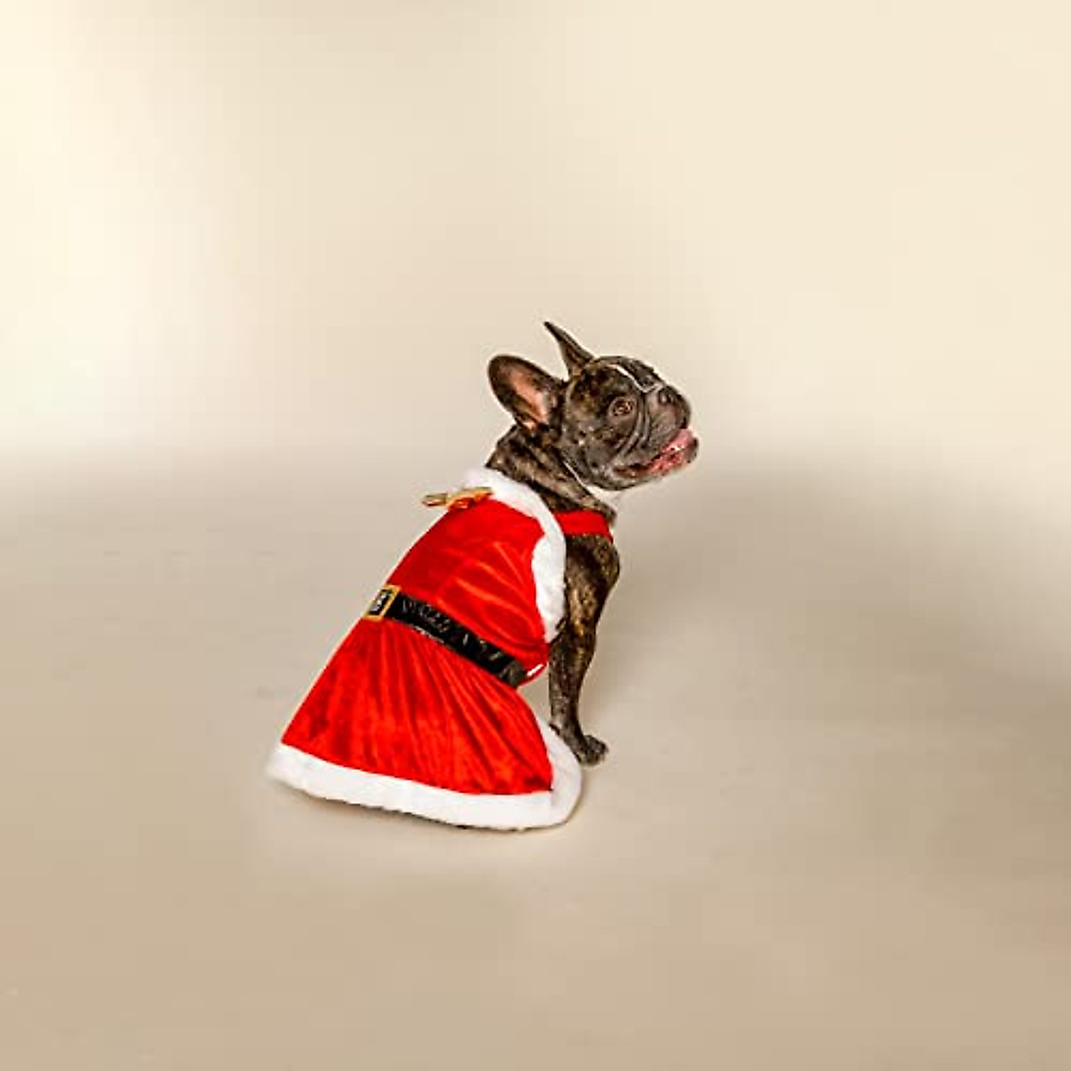 Doggy Parton Red Faux Fur Trimmed Dollys Little Holiday Dress for Pets, Medium