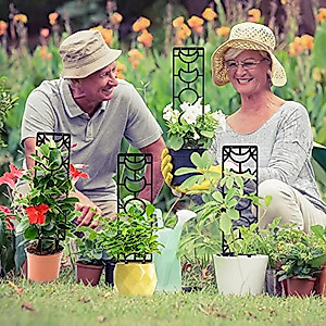 2 Pack Metal Plant Trellis for Climbing Plants, 19 Inch Garden Plant Pot Trellis for Indoor Houseplants, Moon Phase Trellis for Potted Plants Vines, Pothos, Monstera (Black)