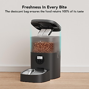 PETLIBRO Automatic Cat Feeder, Automatic Cat Food Dispenser with Timer Interactive Voice Recorder, Auto Cat Feeder with 1-4 Meals Control Dry Food, Black Transparent