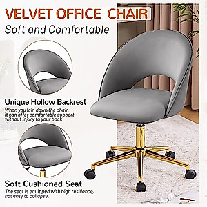 Furniliving Velvet Home Office Chair, Cute Desk Chair Swivel Armchair Upholstered Task Chair with Gold Metal Base, Vanity Chair Adjustable Computer Chair Makeup Chair for Living Room (LightGrey)