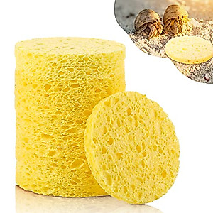 12 Pieces Hermit Crab Sponges Pet Crab Sea Sponges Unbleached Hermit Crab Supplies Sponge Provide Nutrients Crab Sponges Hermit Crab Accessories for Maintaining Hermit Crab Tank Humidity Supplies
