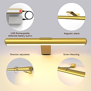 Arixinks Wireless Picture Light for Art Painting with Remote Control, Rechargeable Battery Picture Light Dartboard Light, Full Metal 300lm Brightness Adjustable,Artwork Light for Pictures Gallery