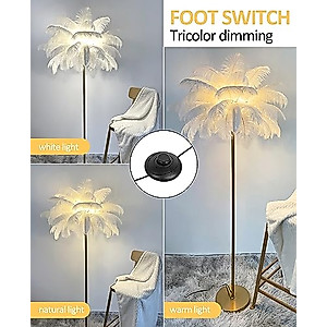 GOYQGLE Floor Lamp Gold,62.9in Ostrich Feather Floor Lamp with Foot Switch / 6-Light*G4,Golden Lamp Body with Plug in Wire,Bulb Included,Simple Modern Bedroom and Living Room
