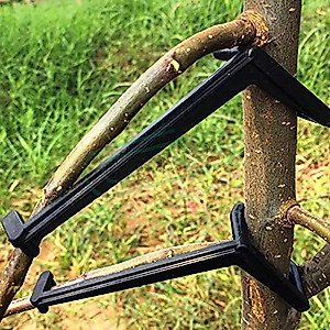 50Pieces Fruit Tree Branch Limb Spreader for Strong Spreading Crotch Angles Branches,Plastic Bonsai Branch Trunk Spreaders Modelling Tool Black
