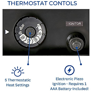 Duluth Forge DLS-N22T Natural Gas Ventless Fireplace Logs Set with Thermostat, Use with Natural Gas, 32000 BTU, Heats up to 1100 Sq. Ft, Winter Oak, 22 Inches