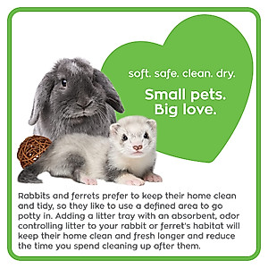 carefresh Rabbit & Ferret Dust-Free, Lightweight Litter, 10 lb