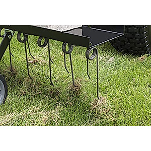 Agri-Fab 45-0295 48-Inch Lawn Dethatcher, Medium, Black