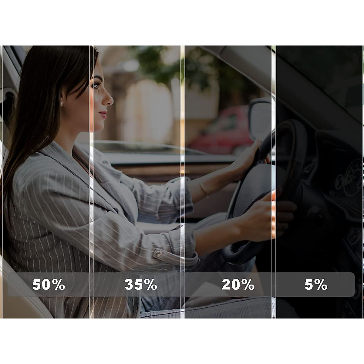 Rvinyl Window Tint Kit Compatible with Ford F-150 2009-2014 (4 Door) - Front Precut Kit - 20%