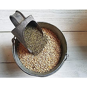 Fresh Eggs Daily Coop Kelp Organic Feed Supplement Vitamins for Backyard Chickens and Ducks 7LB