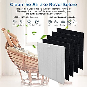 Flintar D360 H13 True HEPA Replacement Filter D3, Compatible with Winix D360 Air Purifier, H13 Grade True HEPA and 4 Activated Carbon Filters, Item Number 1712-0101-02, D3 Filter