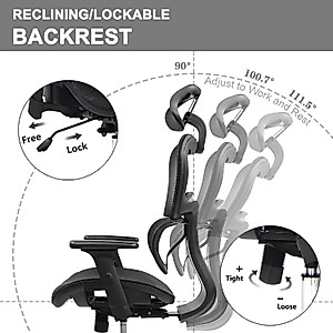 Ergonomic Office Chair, High Back Mesh Chair Computer Desk Chair with Lumbar Support and 3D Adjustable Headrest and Armrests for Home Office, Conference Room, Reception Room, Gaming Room (Dark Black)