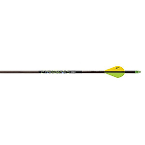 Carbon Express Predator XSD 400-6PK Arrows