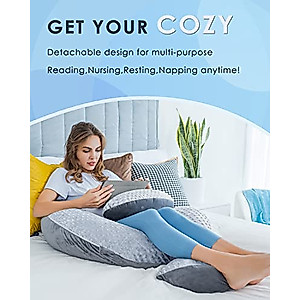 QUEEN ROSE Pregnancy Pillows, E Shaped Full Body Pillow for Sleeping, with Pregnancy Wedge Pillow for Belly Support, 60 Inch Maternity Pillow for Side Sleeper, Grey Bubble Velvet