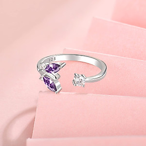 STARCHENIE Adjustable Butterfly Ring 925 Sterling Silver Jewelry for Women Amethyst Size 7