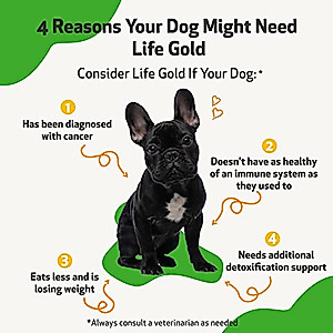Pet Wellbeing Life Gold for Dogs - Vet-Formulated - Immune Support and Antioxidant Protection - Natural Herbal Supplement 2 oz (59 ml)